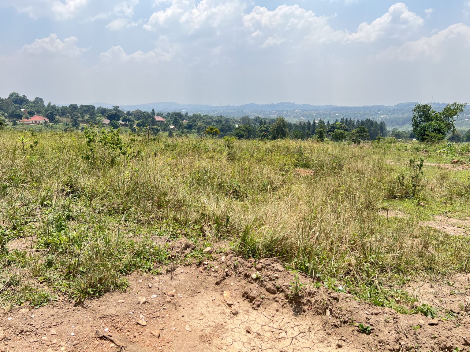 BOMBO NYIMBWA ESTATE – Zion Estates